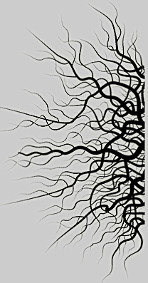 Nicholas Beatty Photography