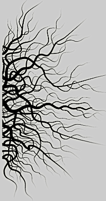 Nicholas Beatty Photography